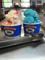 Hayward's Family Ice Cream